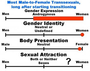 Trans Group Blog: Gender Identity, Gender Expression, Body Presentation ...